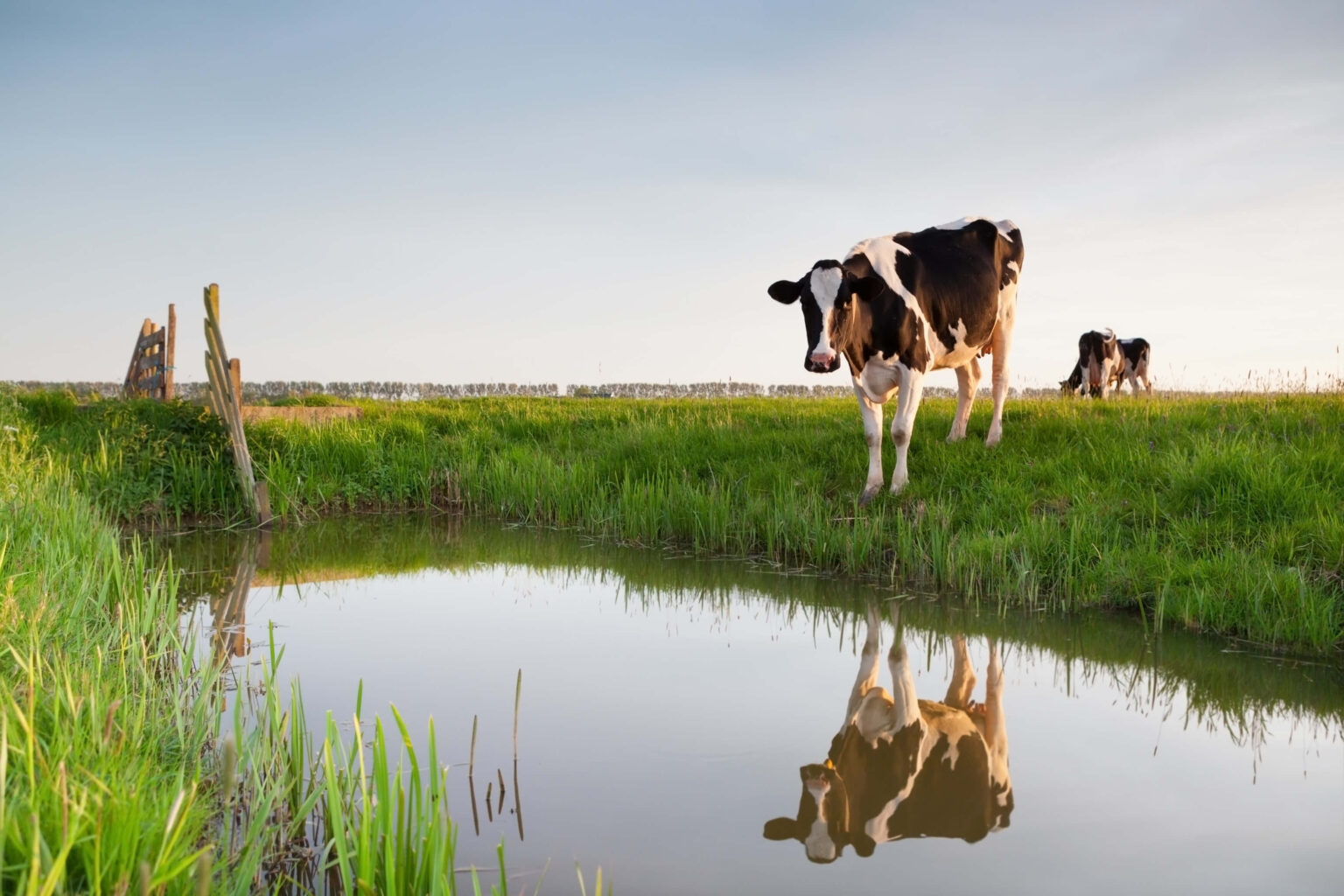 Our CSR approach - Eurial - Ingrédients & Nutrition